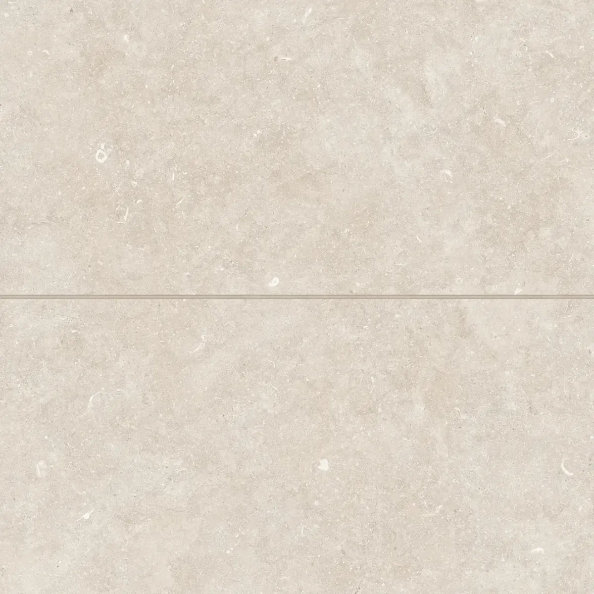 Oda 24″ x 48″ Soft Textured Matte Porcelain Tile in Light - Beyond ...